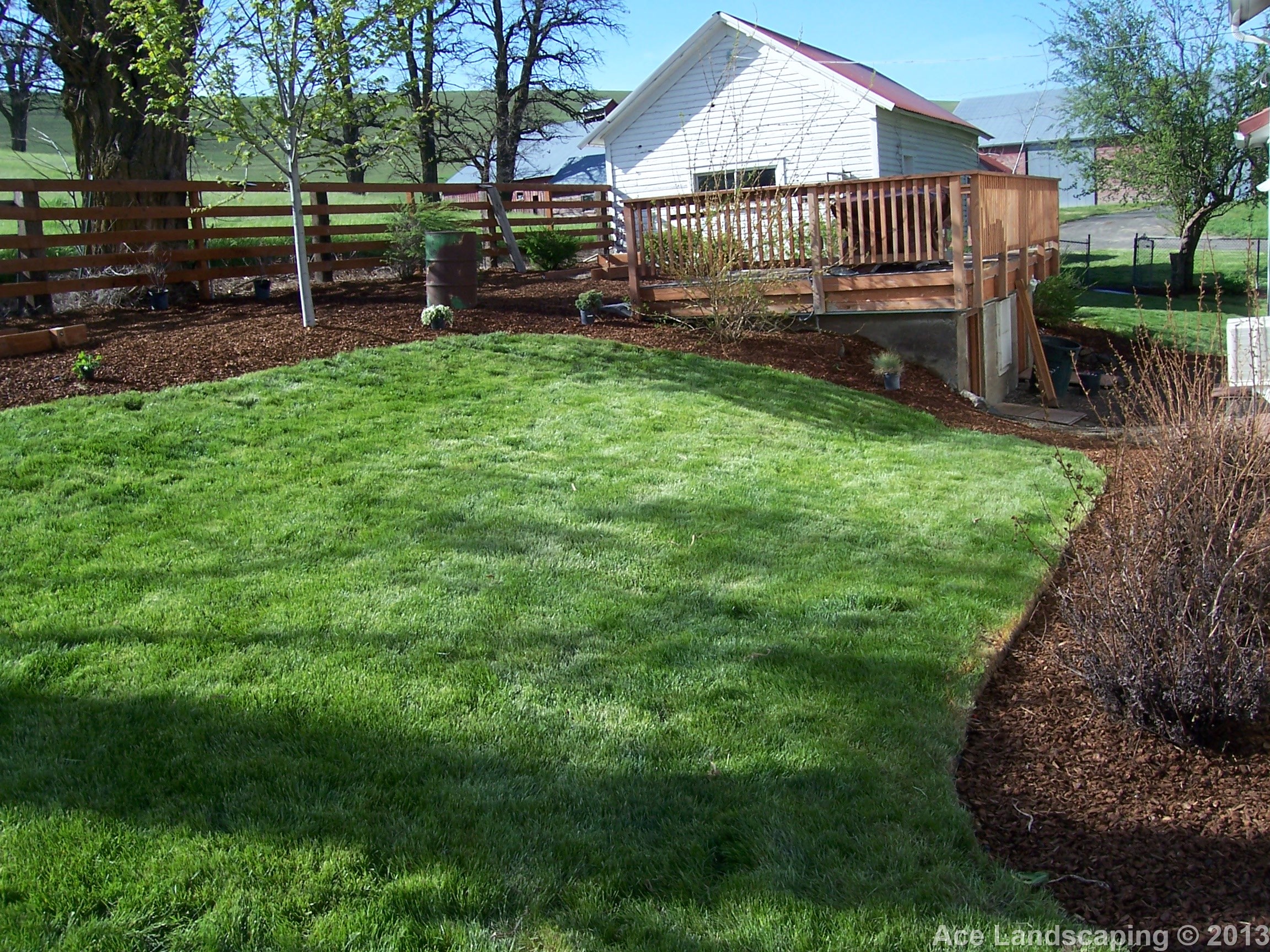 SOD, SEED & GRADING CONTRACTOR - Yard & Lawn Sodding and Seeding