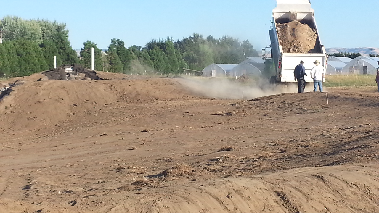 SOD, SEED & GRADING CONTRACTOR - Yard & Lawn Sodding and Seeding