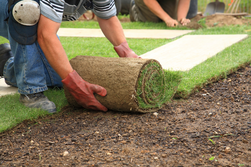 SOD, SEED & GRADING CONTRACTOR - Yard & Lawn Sodding and Seeding