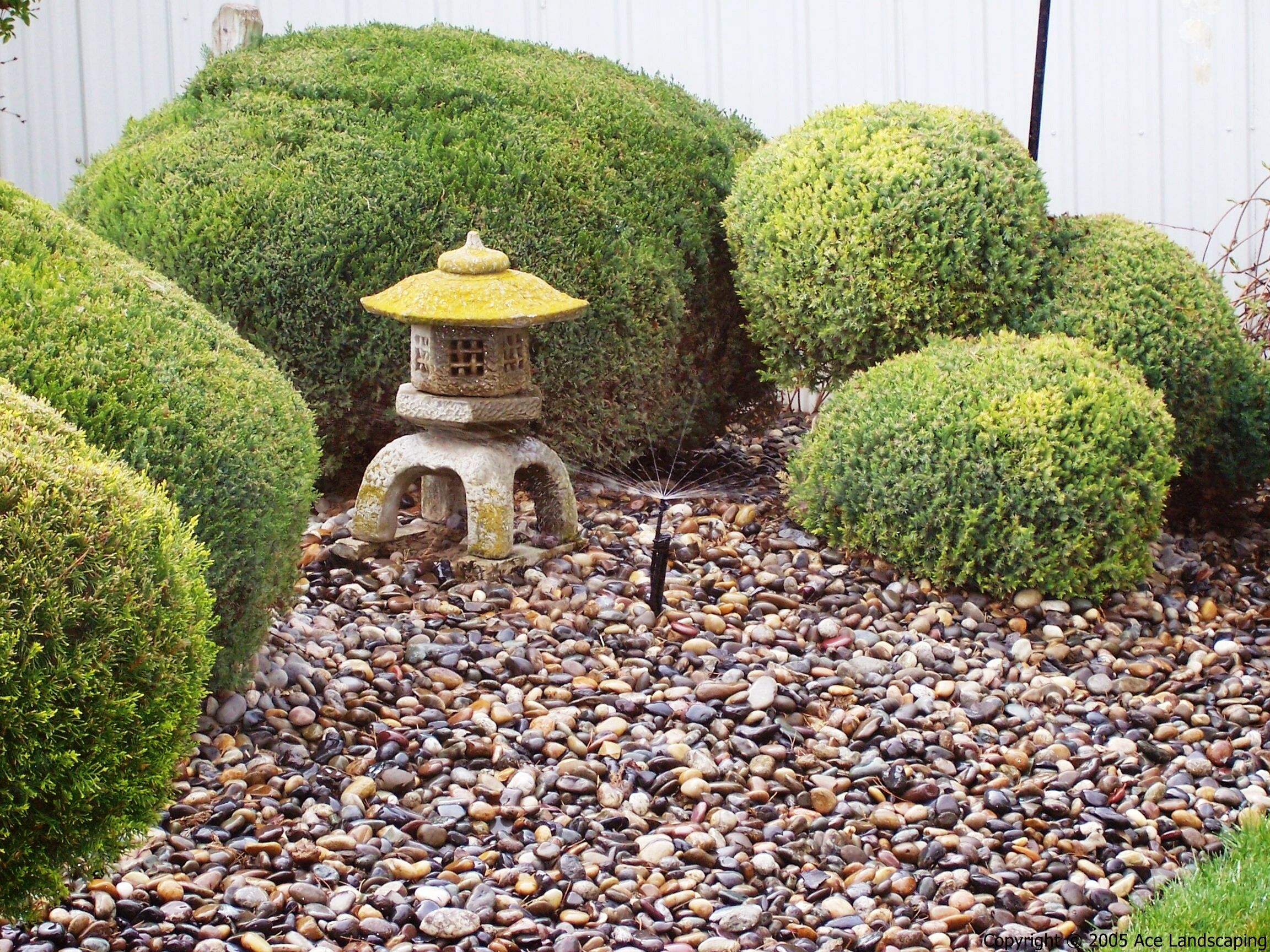 LANDSCAPE MAINTENANCE CONTRACTOR - Full Lawn/Yard/Garden Services